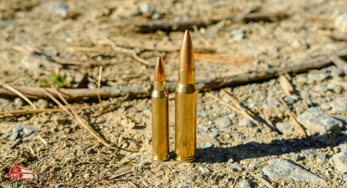 .223 vs. .308 Caliber Comparison - TargetBarn.com