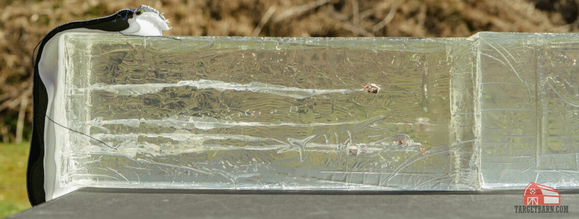 Hornady Critical Defense .38 Special +P 110gr FTX Review - TargetBarn.com