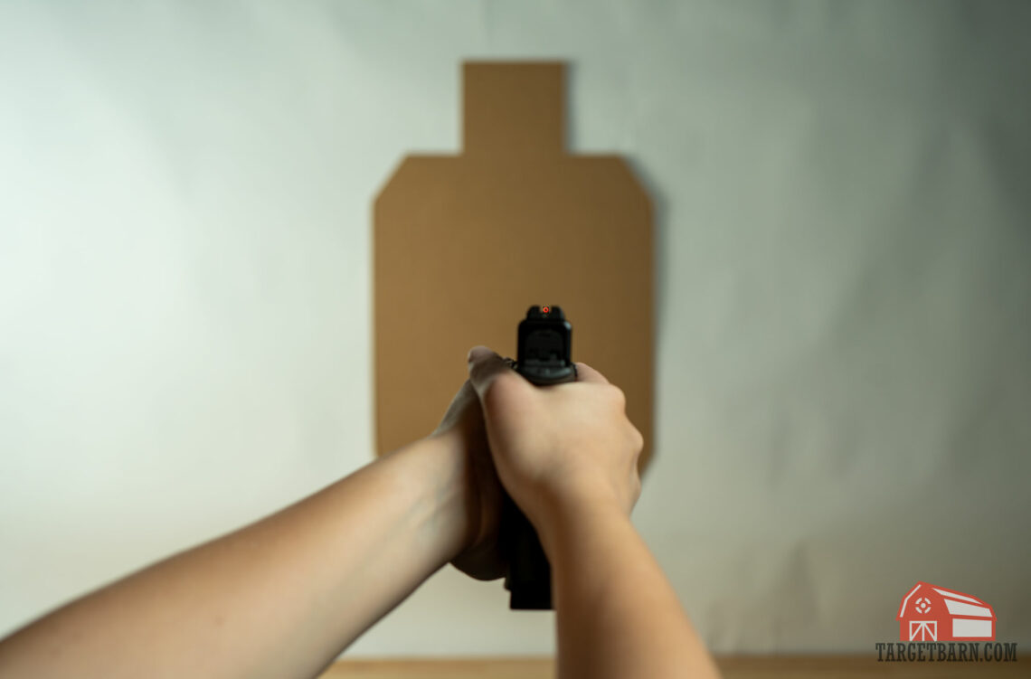 Sight Picture: What Is It and Why Does It Matter? - TargetBarn.com